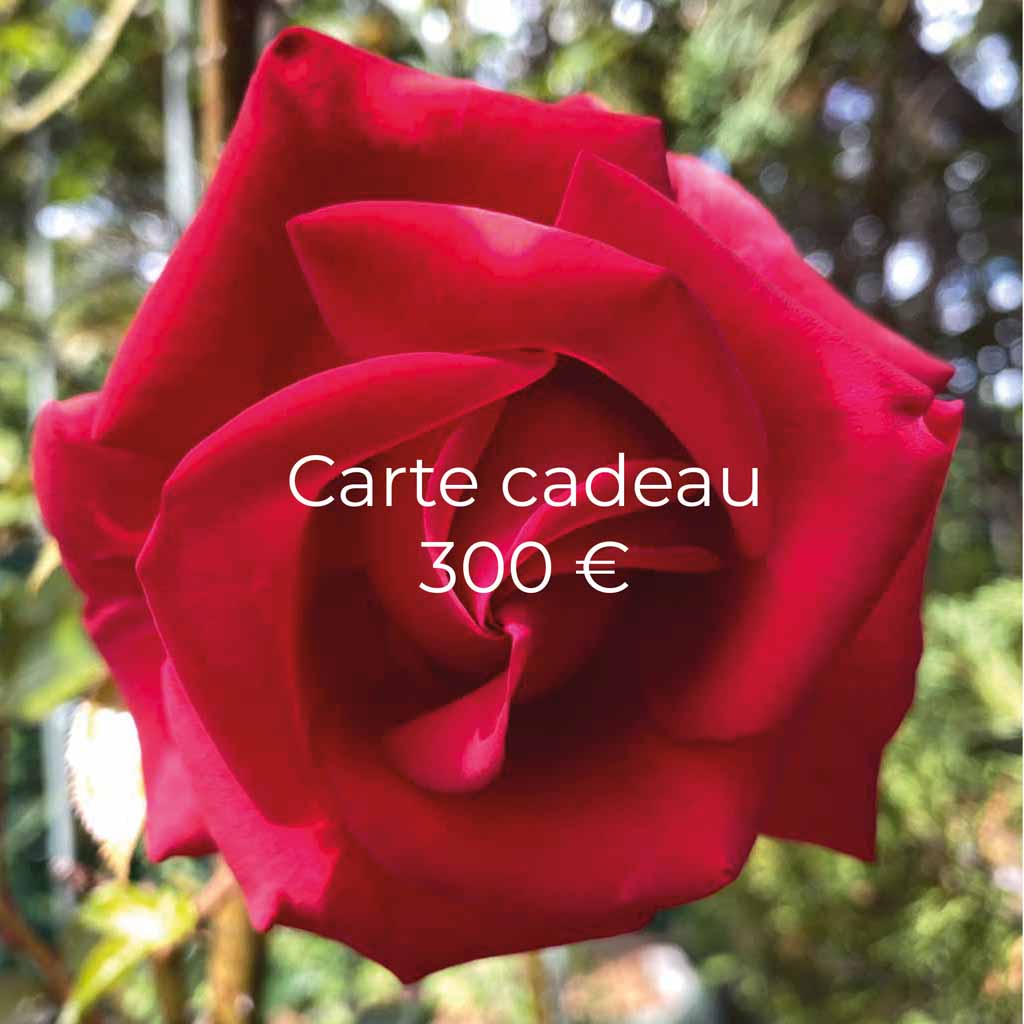Red Passion Gift Card - Fleur Nabert creations